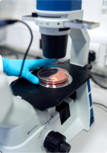 Control Union Netherlands