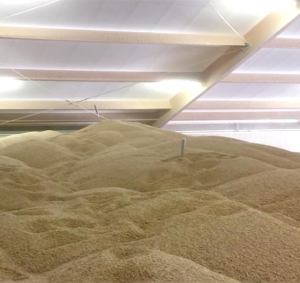 Control Union Netherlands